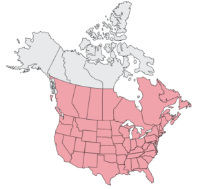 Utility Truck Rental | Summit Fleet